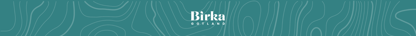 Hitta resa | Birka Gotland