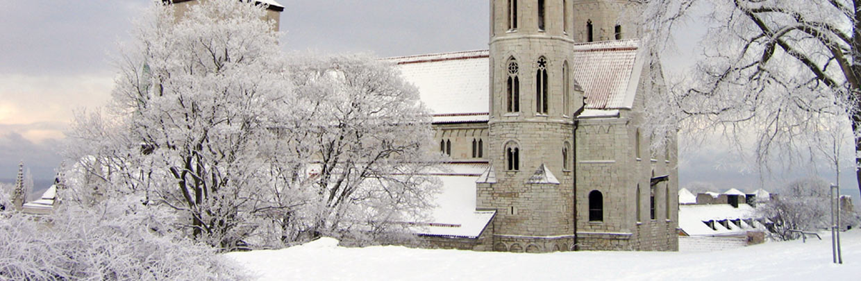 Visby Adventskryssning 20/12 2025 | Birka Gotland