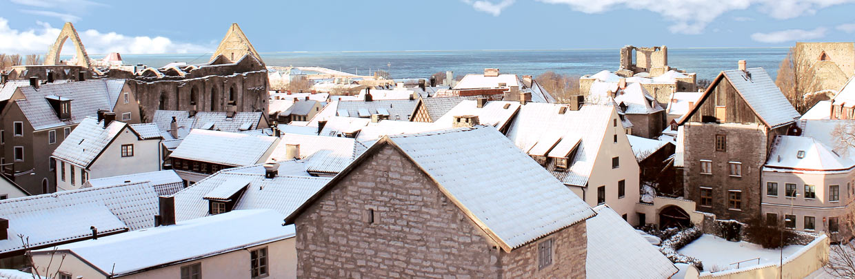 Visby Adventskryssning 20/12 2025 | Birka Gotland